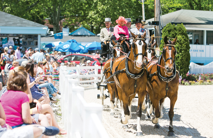 Devon Horse Show - County Lines Online