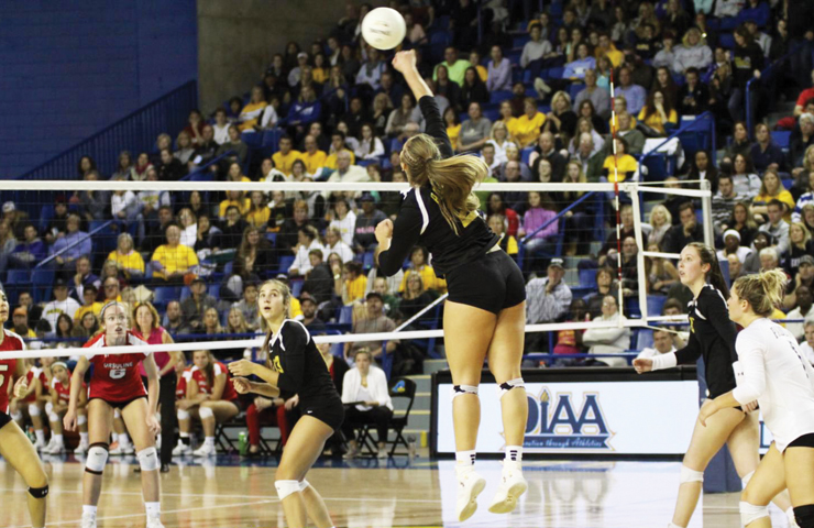 Fall School Sports Recap - County Lines Online