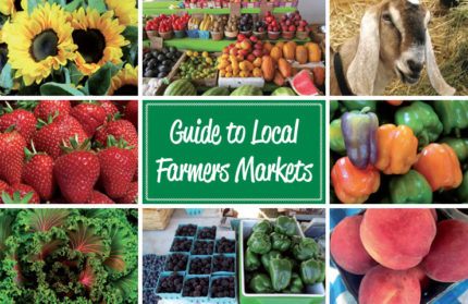 Guide to Local Farmers Markets - County Lines Online