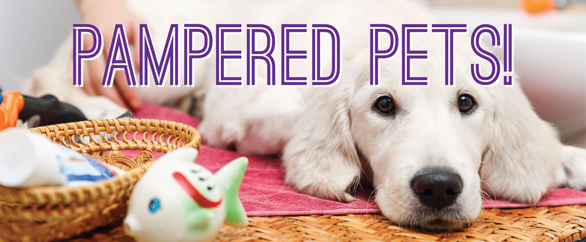 Pampered Pets - County Lines Online
