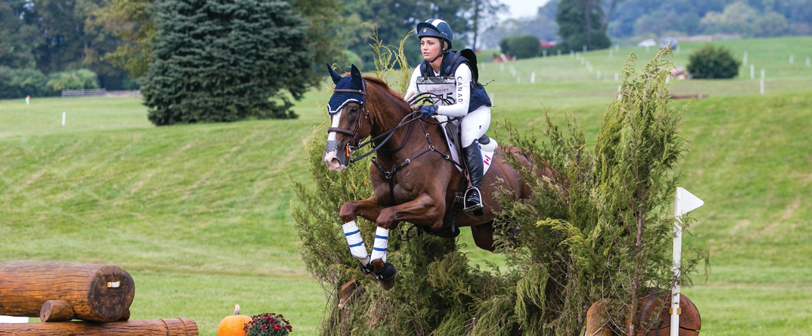 An Equestrian End to the Summer - County Lines Online