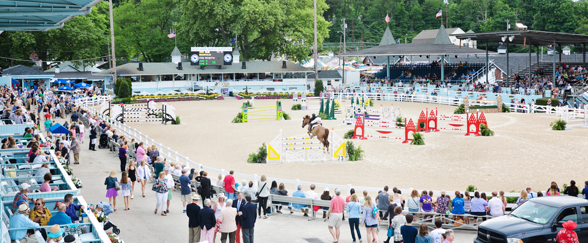 Visiting The Devon Horse Show & Country Fair - County Lines Online