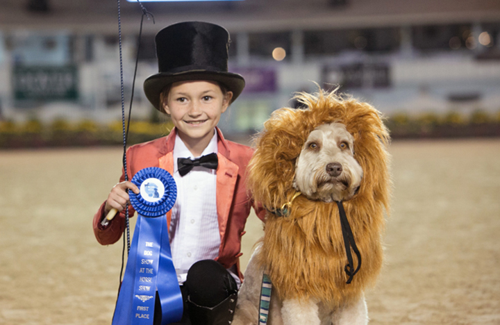 Visiting The Devon Horse Show & Country Fair - County Lines Online