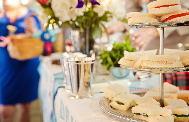 Visiting The Devon Horse Show & Country Fair - County Lines Online