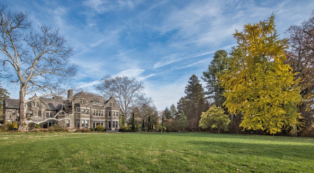 Stoneleigh's Trees to See - County Lines Online