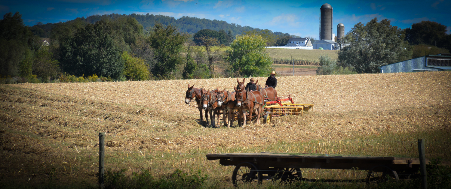 Lancaster's History - County Lines Online
