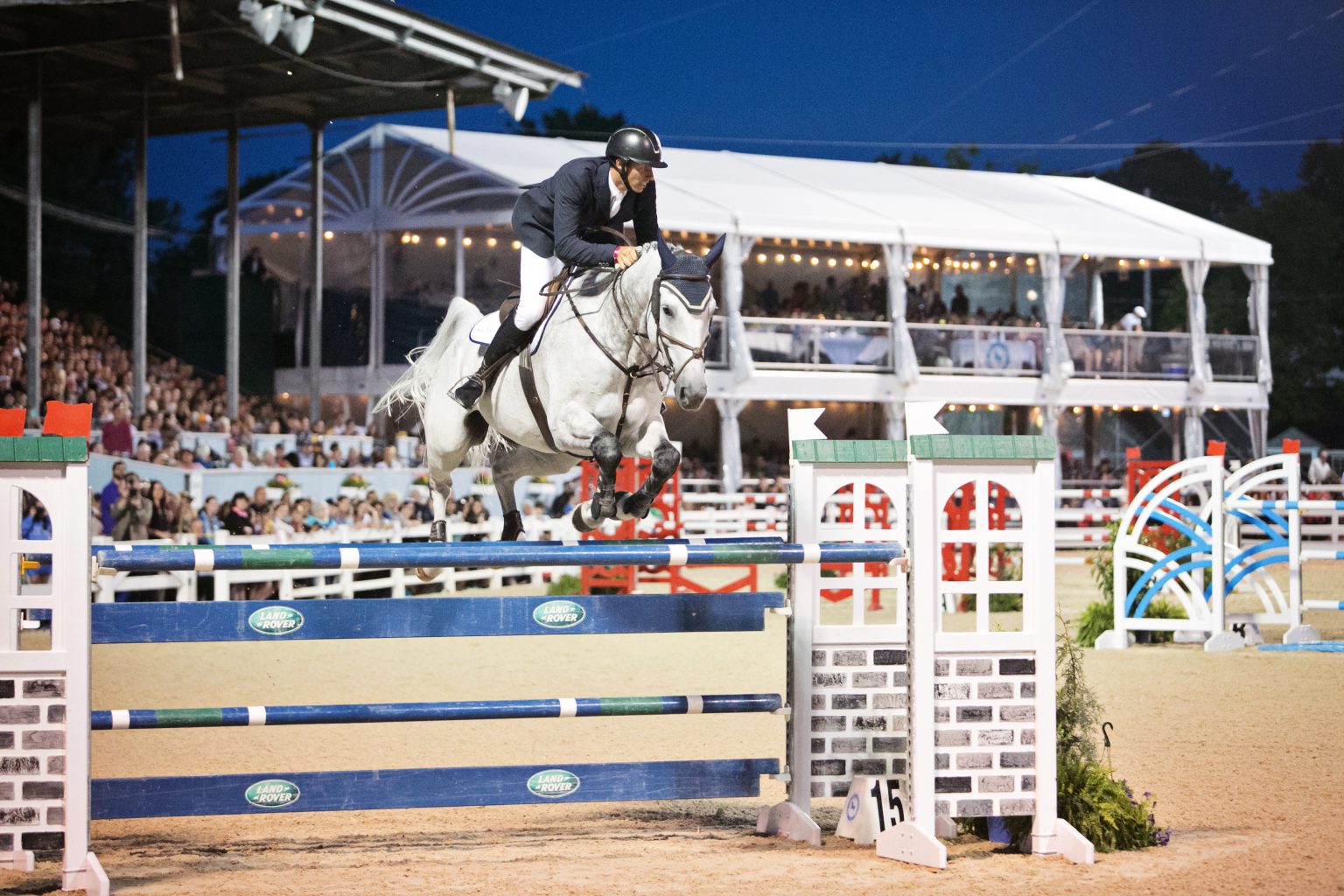 The Devon Horse Show Celebrates Its 126th Year County Lines Online the-devon-horse-show-celebrates-its-126th-year-county-lines-online