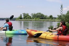 Home - County Lines Online