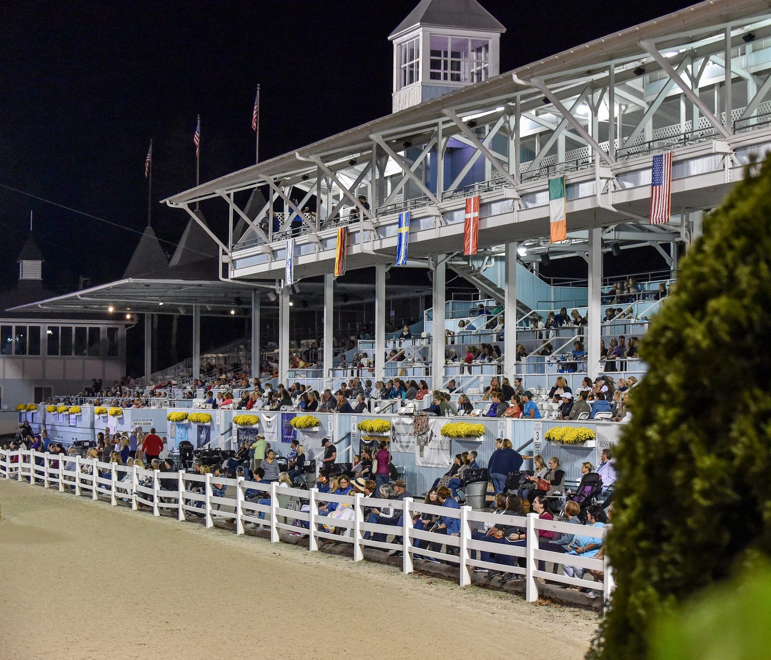 Dressage at Devon - County Lines Online