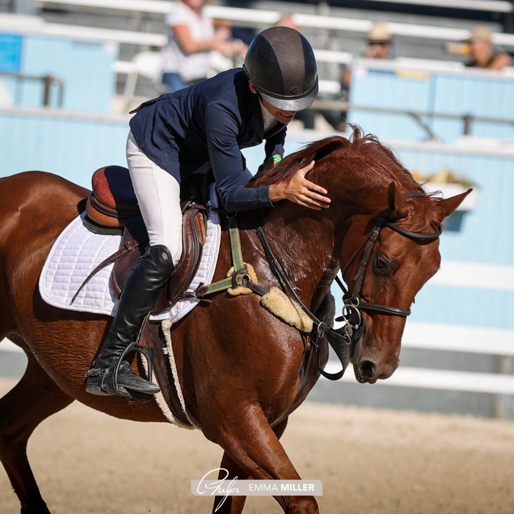 Saddle Up for the Fall Equestrian Season - County Lines Online