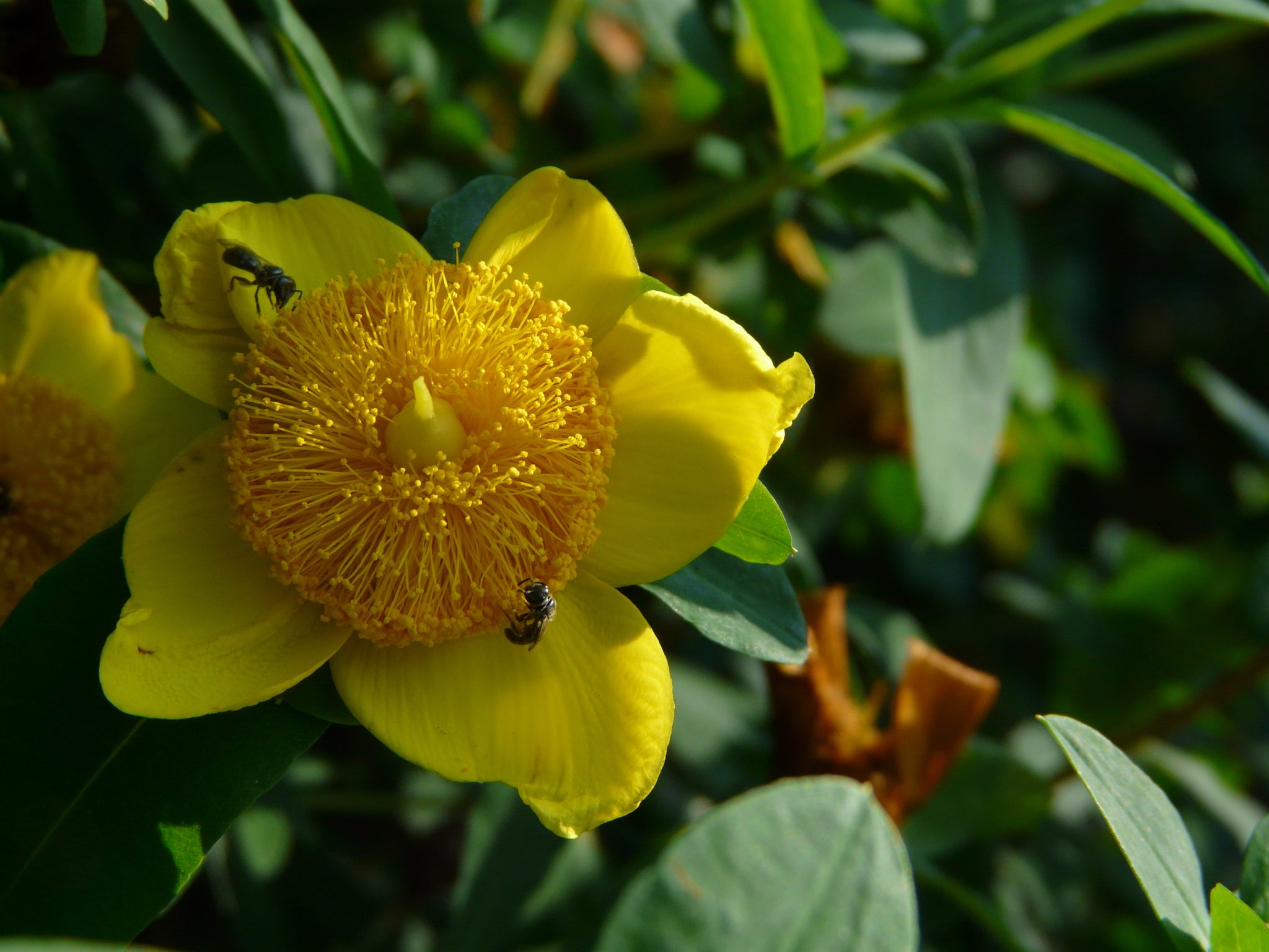 Small but Mighty - County Lines Online