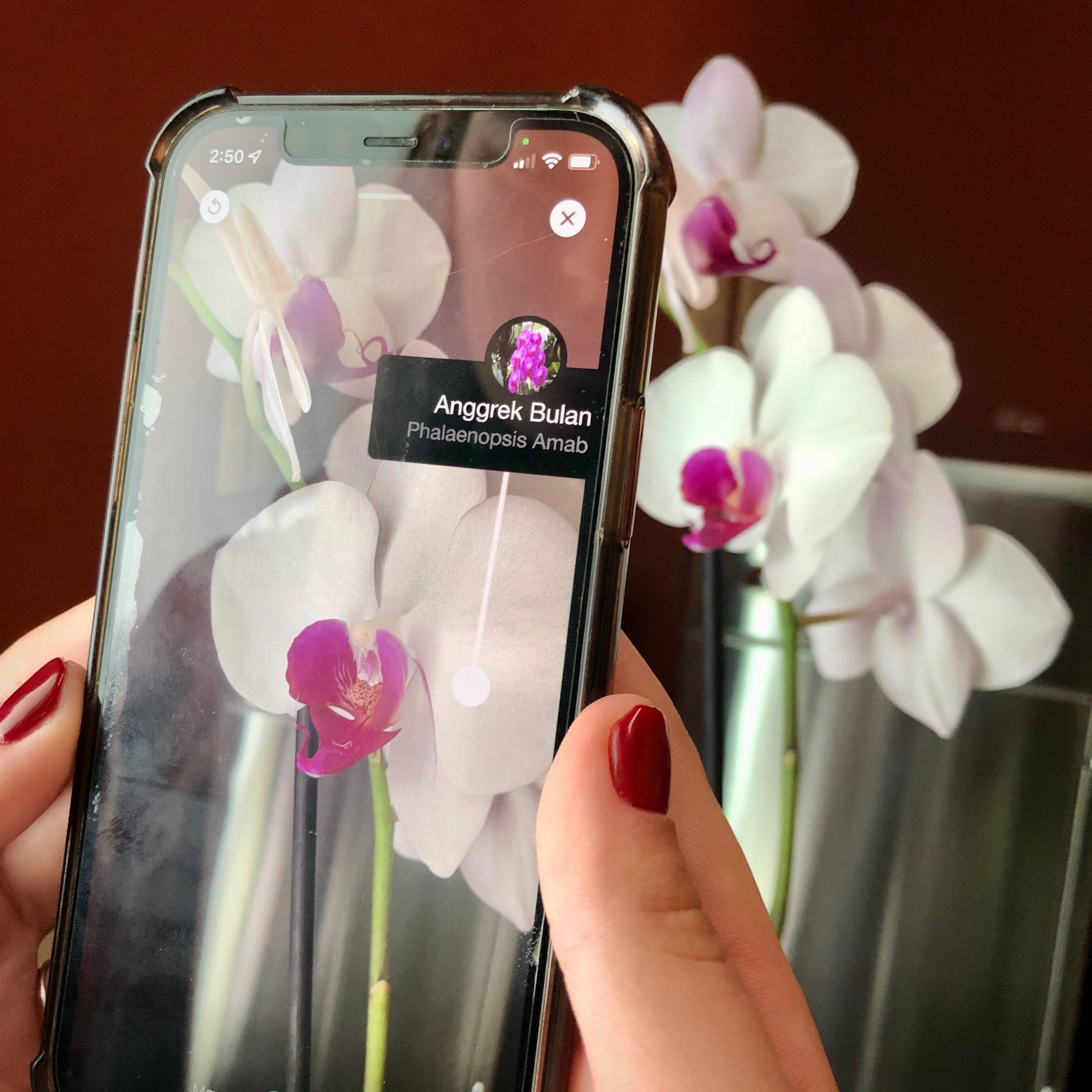 Peighton+Lydia plant photo - County Lines Online