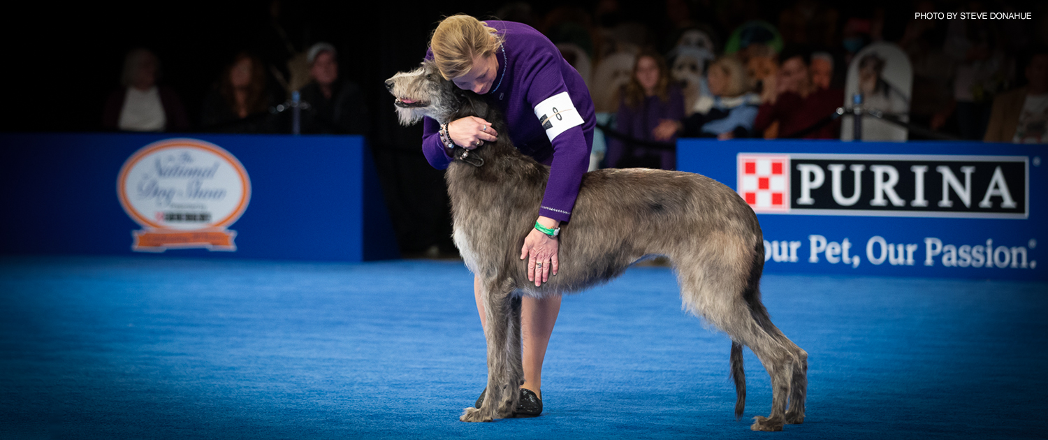 The 21st Annual National Dog Show - County Lines Online