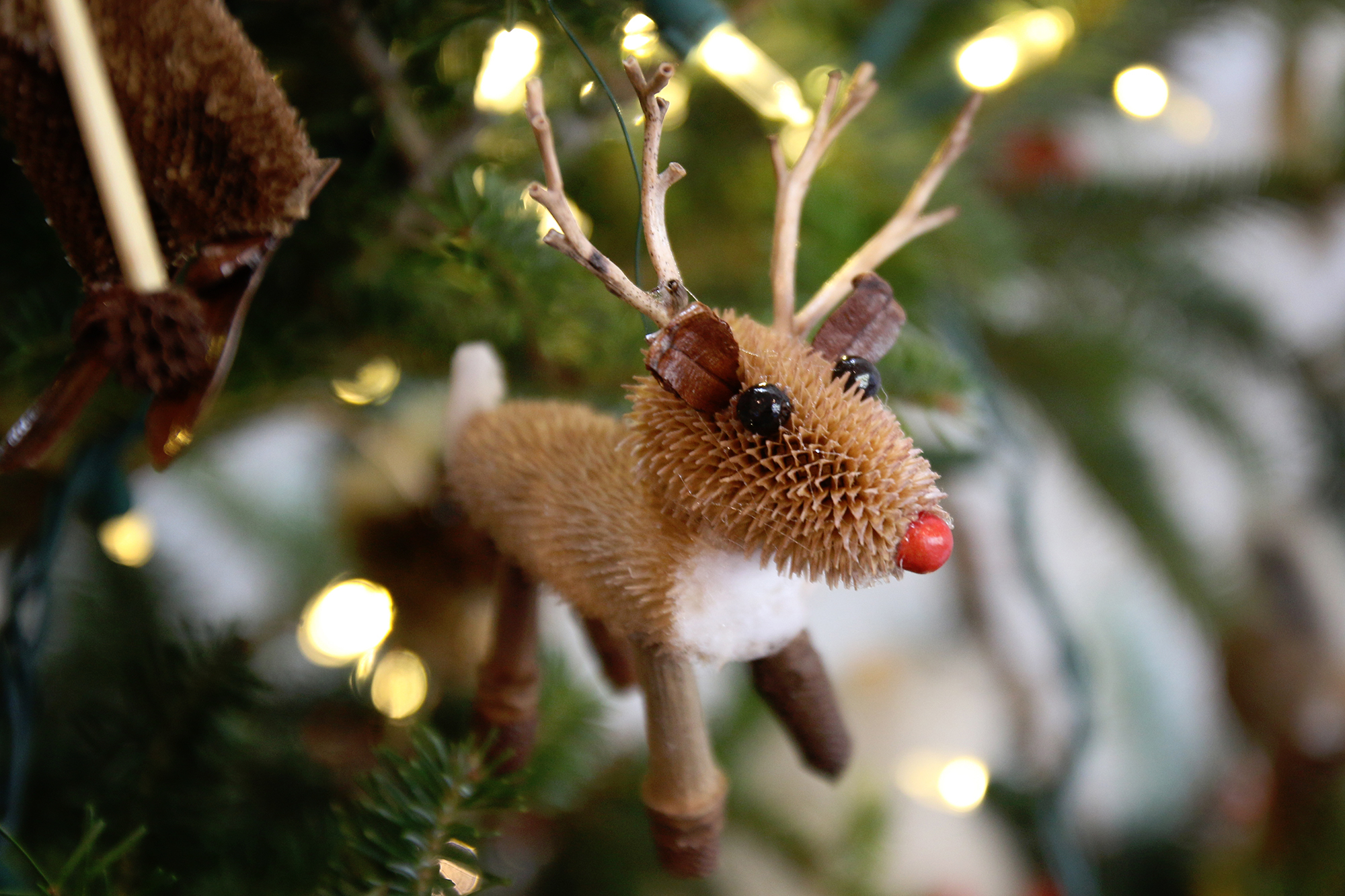 Dreaming of a Green Christmas - County Lines Online