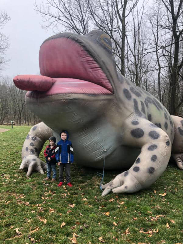 Stroud-world-water-day-kids-giant-inflatable-frog - County Lines Online