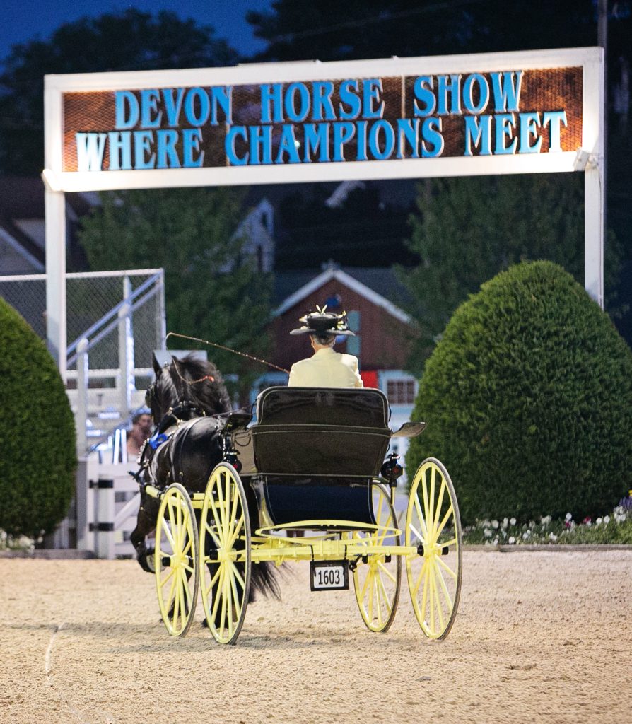 The 127th Devon Horse Show - County Lines Online