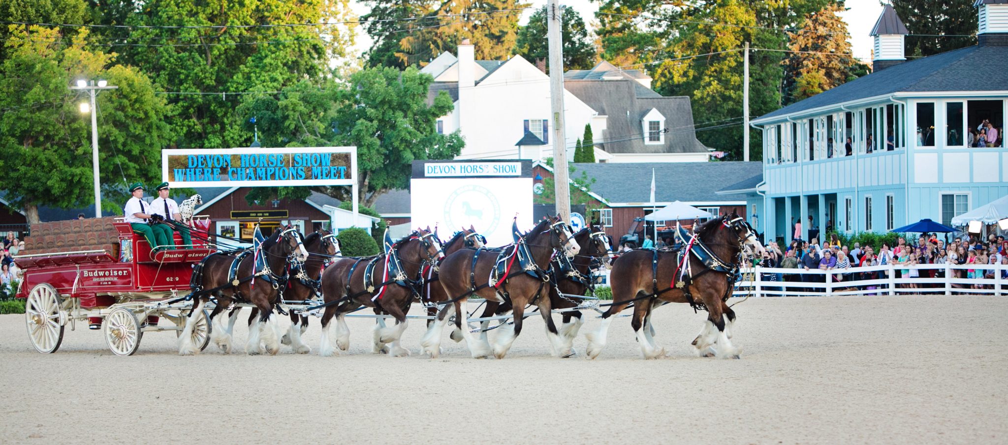 The 127th Devon Horse Show - County Lines Online
