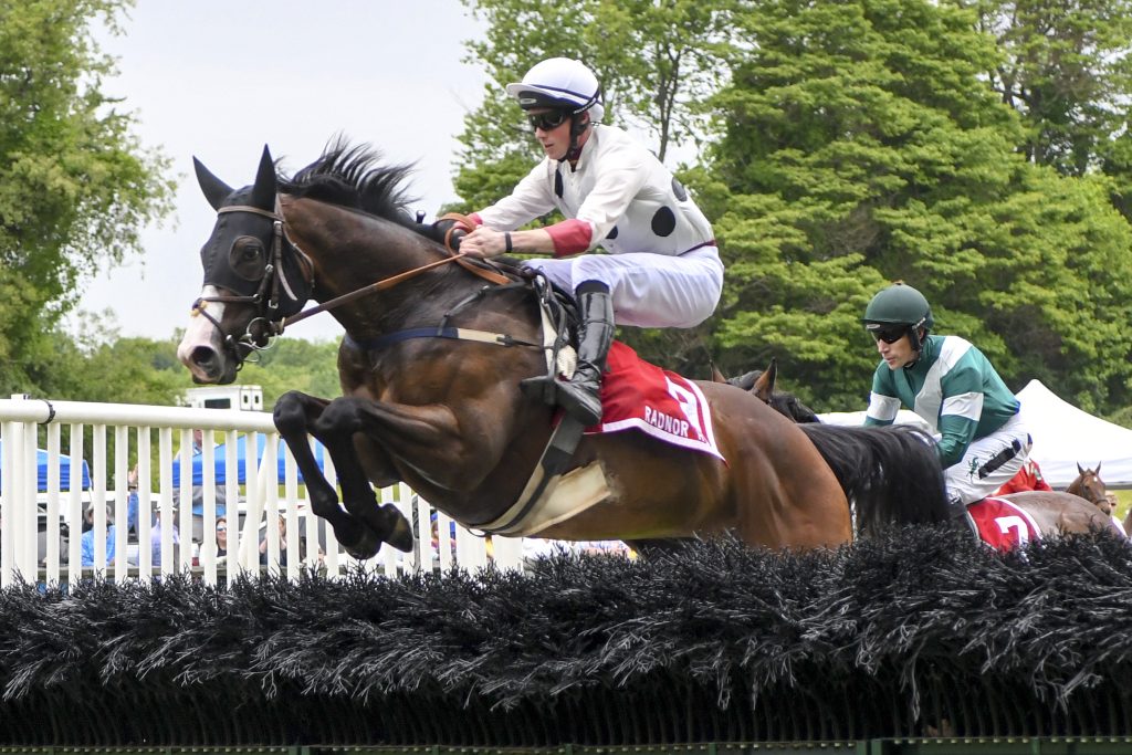 A Milestone Year for Steeplechase Racing - County Lines Online