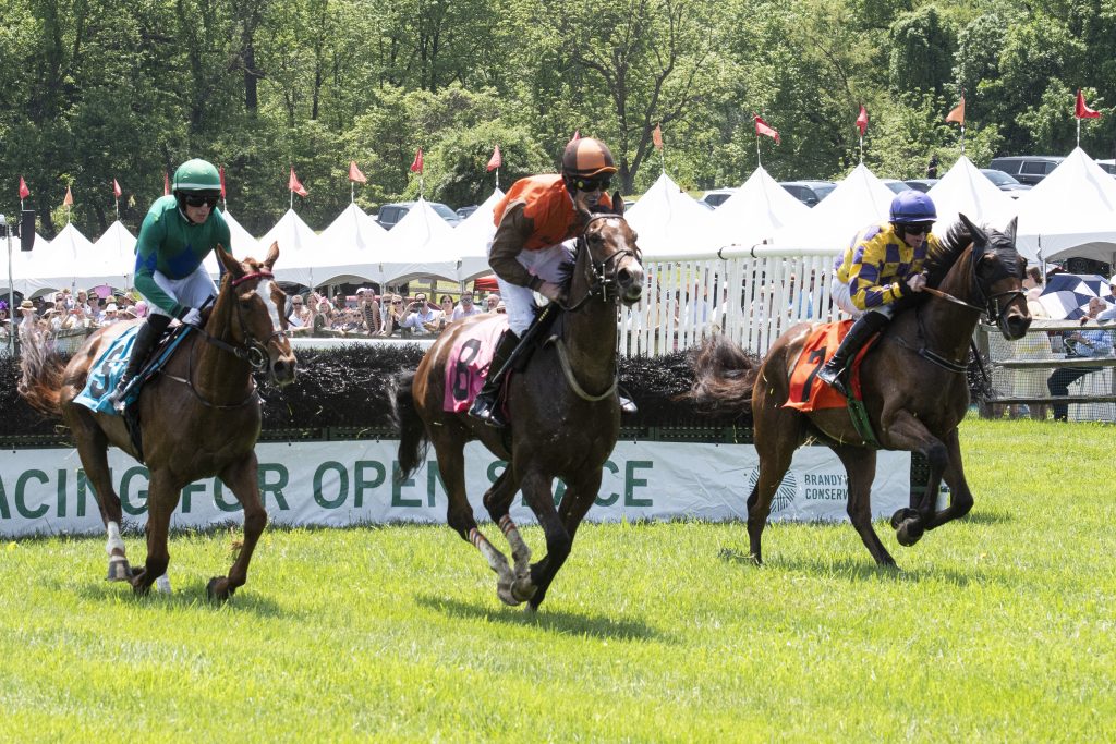 A Milestone Year for Steeplechase Racing - County Lines Online