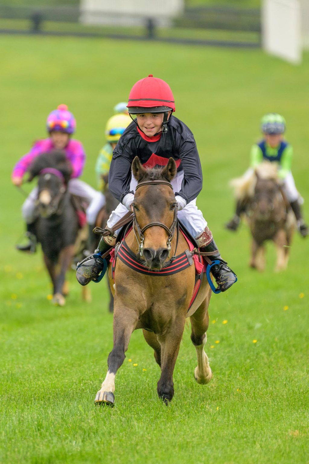 A Milestone Year for Steeplechase Racing - County Lines Online