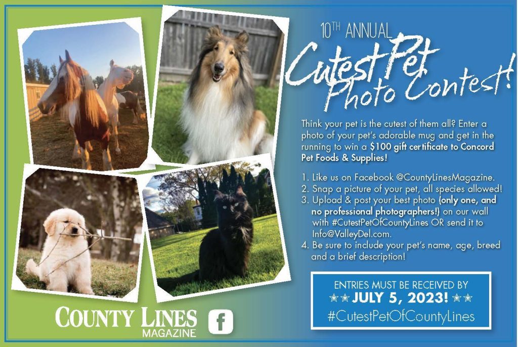 Cutest Pet Photo Contest 2023: Rules - County Lines Online