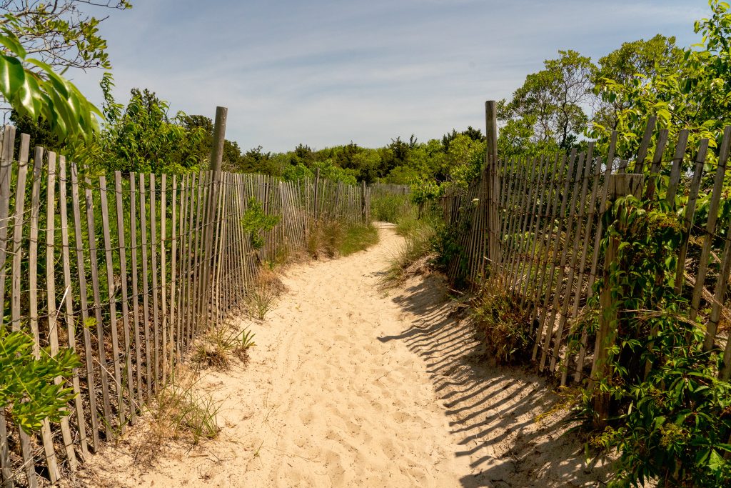 corson's inlet-nj state park fb - County Lines Online