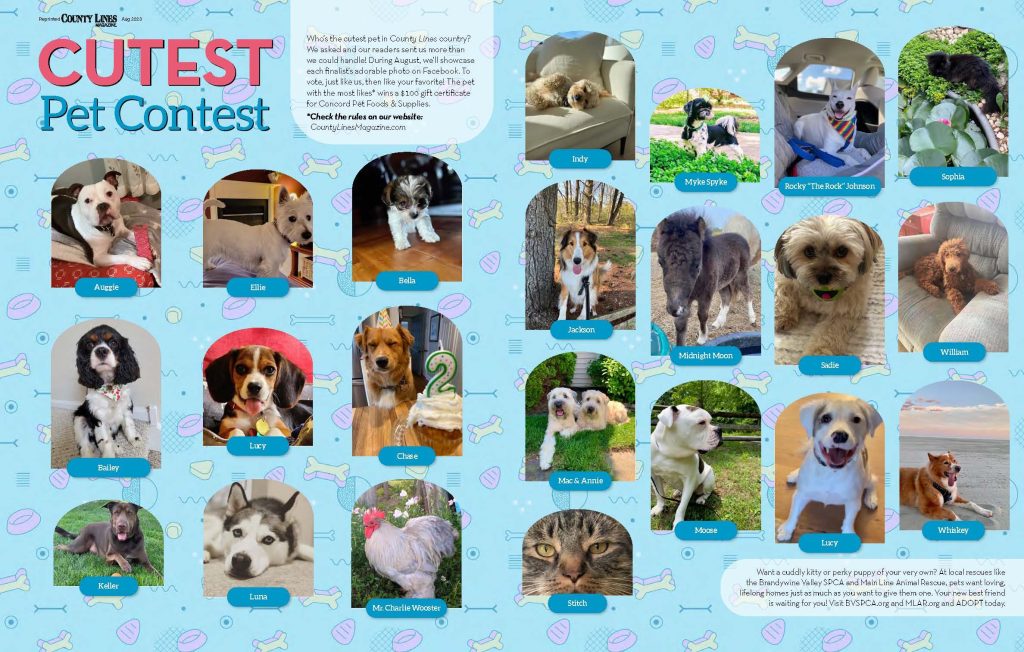 Cutest Pet Contest 2023 - County Lines Online