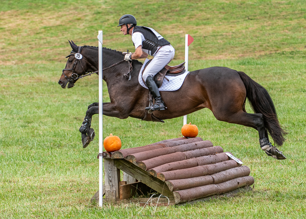 Gear Up for the Fall Equestrian Season - County Lines Online