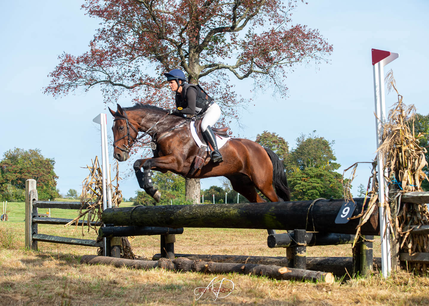 Gear Up for the Fall Equestrian Season - County Lines Online
