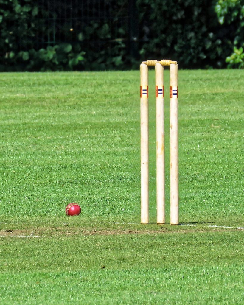 Cricket Is a Bit Like Baseball ... But Different - County Lines Online