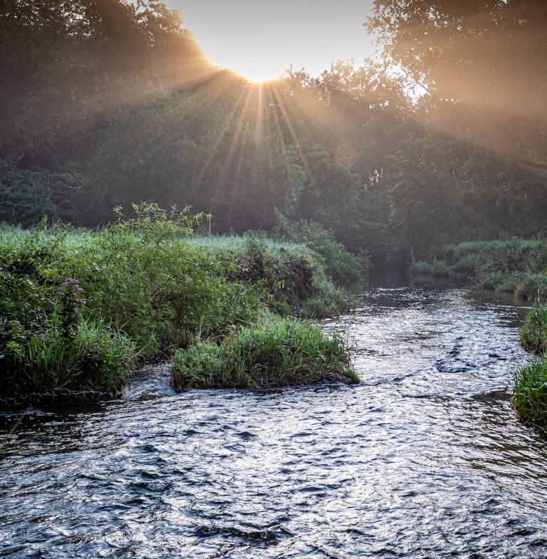 A Walk Through the Preserves - County Lines Online