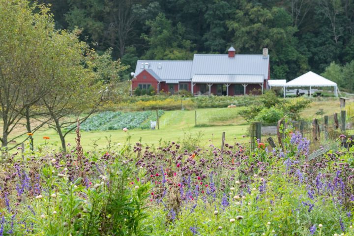 Home County Lines Online