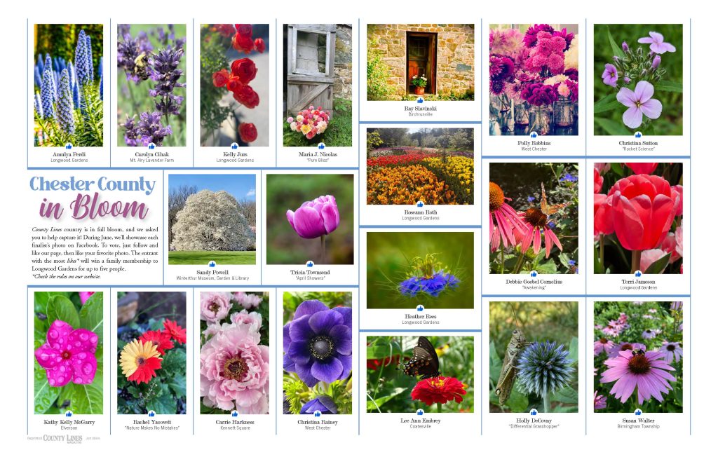 Chester County in Bloom 2024 - County Lines Online
