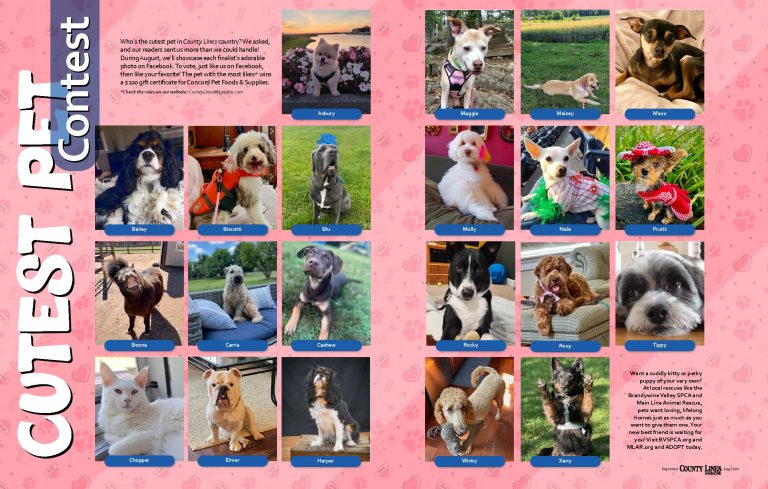 Cutest Pet Contest 2024 - County Lines Online