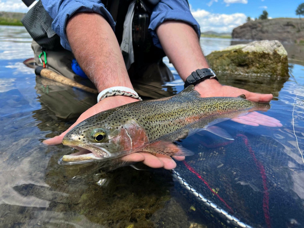 Trout Fishing in Chester County, PA - County Lines Online