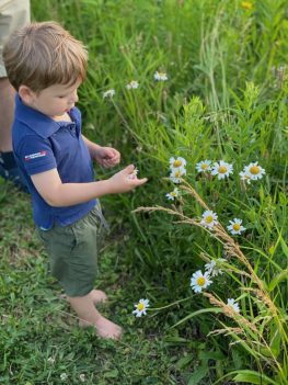 Longing for Life Beyond the Lawn - County Lines Online