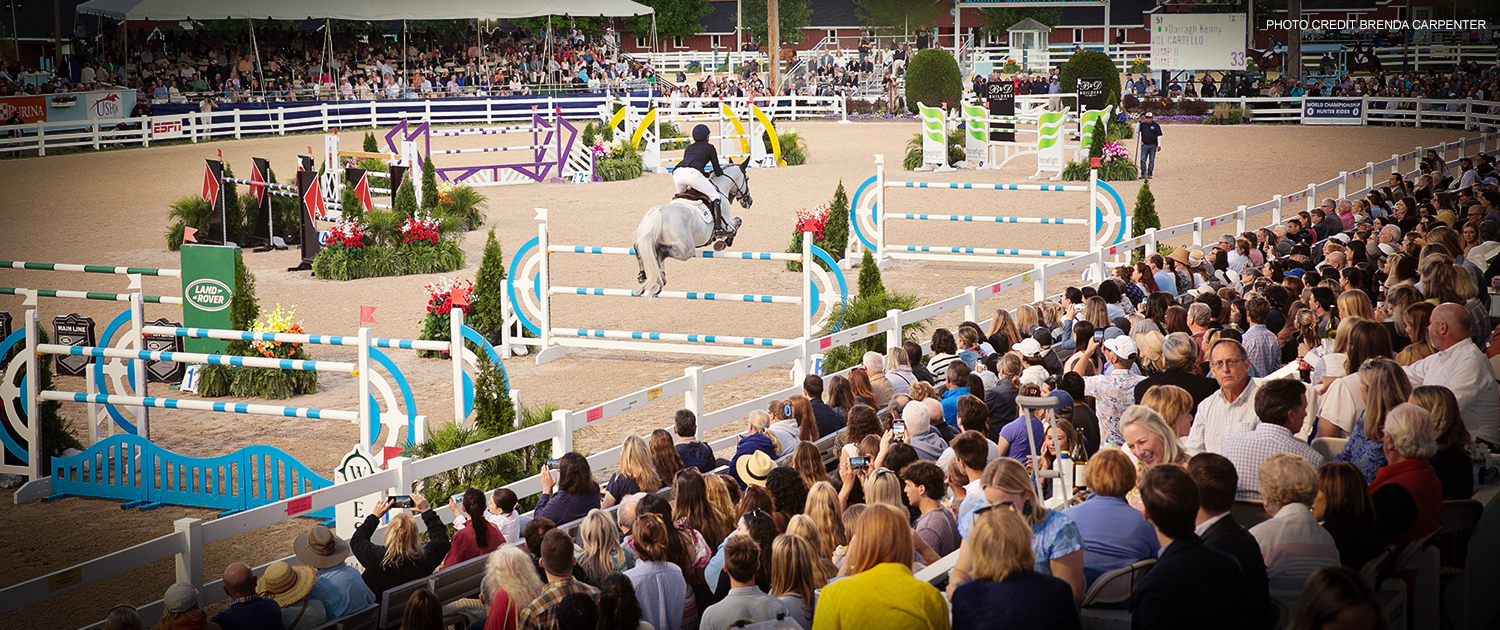 The Devon Horse Show & Country Fair - County Lines Online