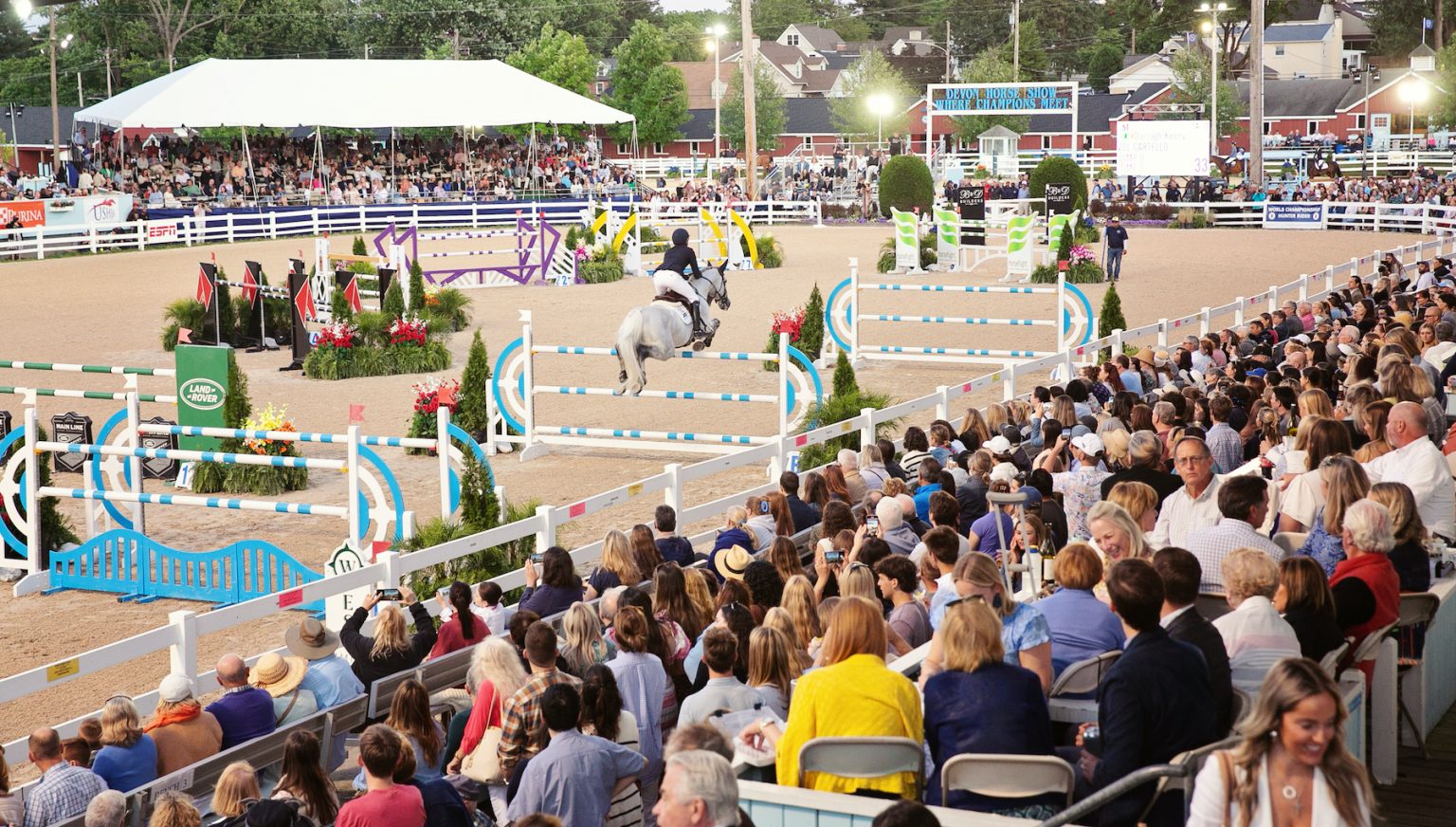 The Devon Horse Show & Country Fair - County Lines Online