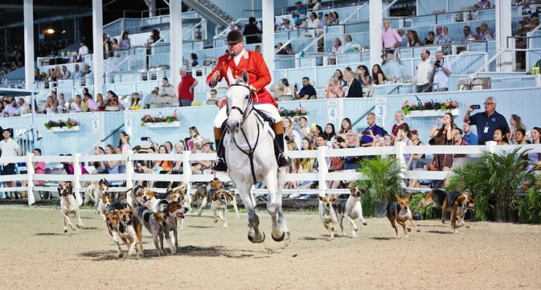 The Devon Horse Show & Country Fair - County Lines Online