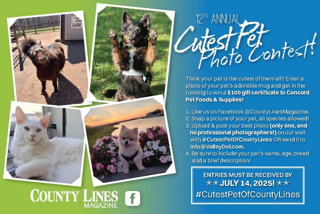 Cutest Pet Photo Contest 2025: Rules - County Lines Online