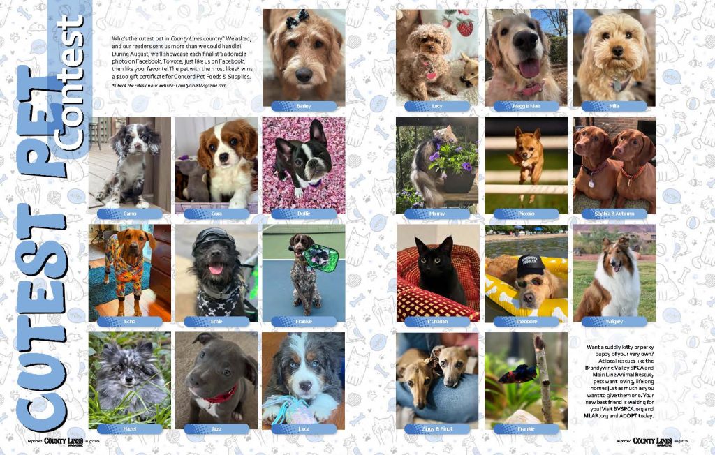 Cutest Pet Contest 2025 - County Lines Online