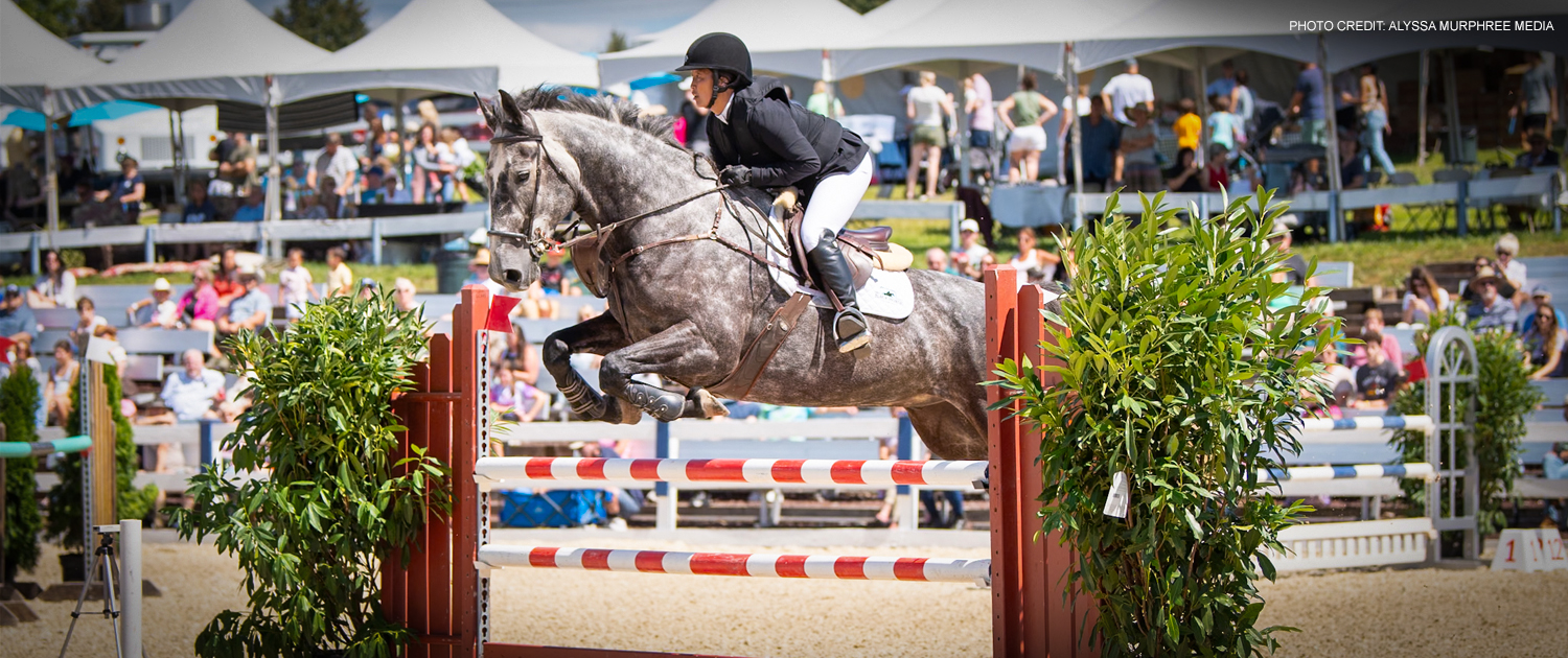 Autumn on Horseback: A Celebration of Equestrian Events - County Lines ...