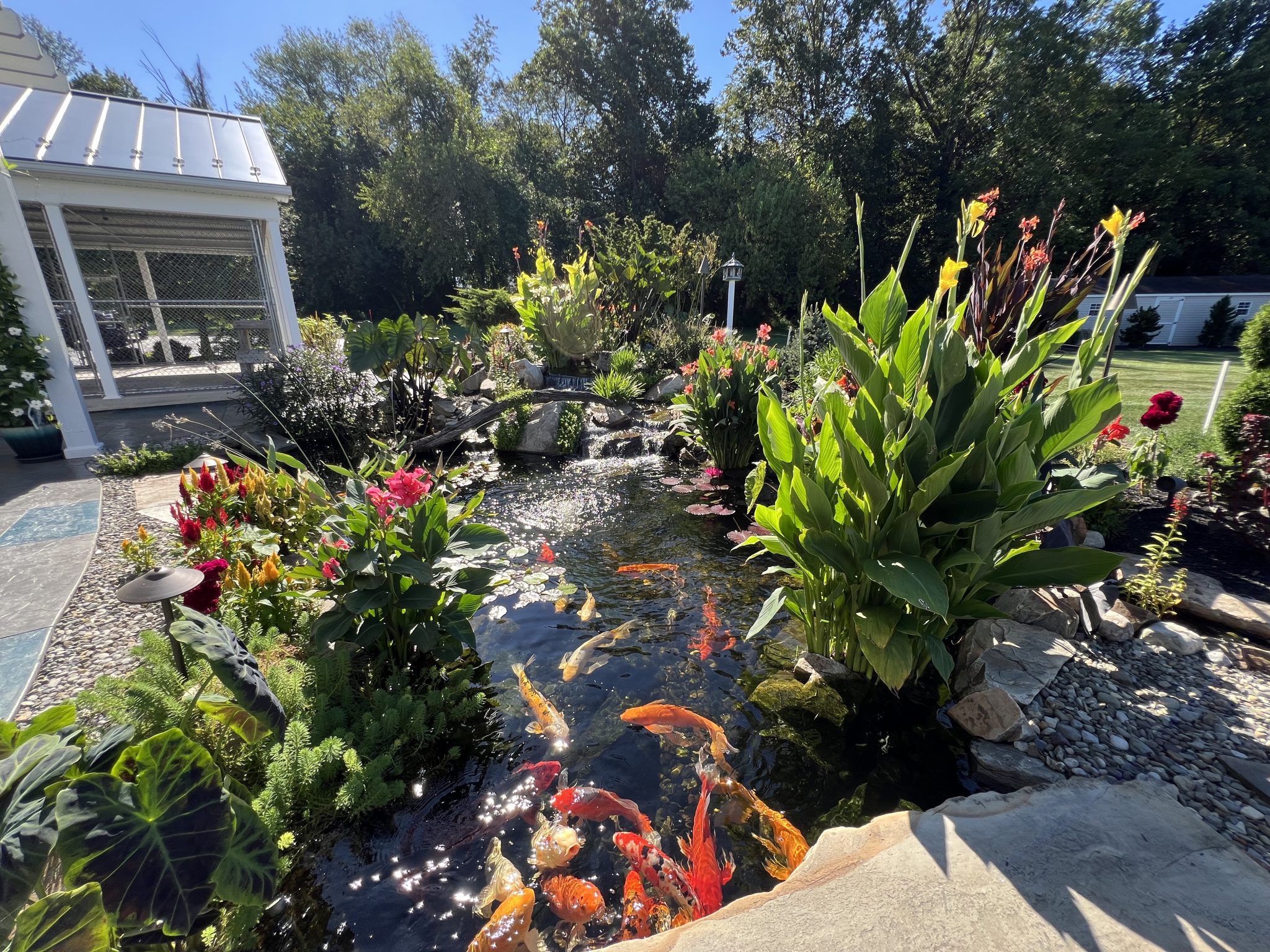 Invitation to a Garden Party Tour — June 20 & 27, 2026 - County Lines ...